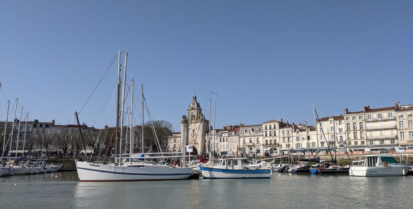 Road Trip: My Week with the Dolphins ⋆ Secrets of Paris